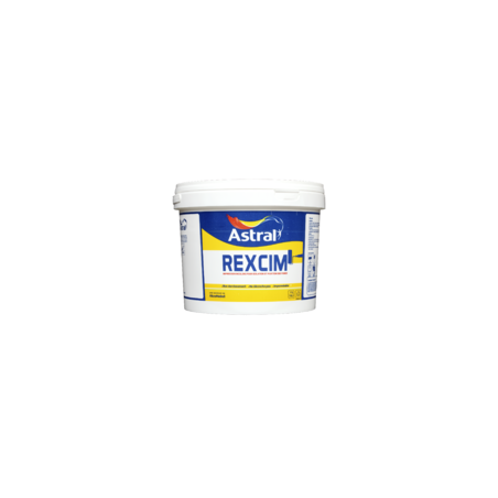 ENDUIT REXIM 1 KG pour Enduit En Pate